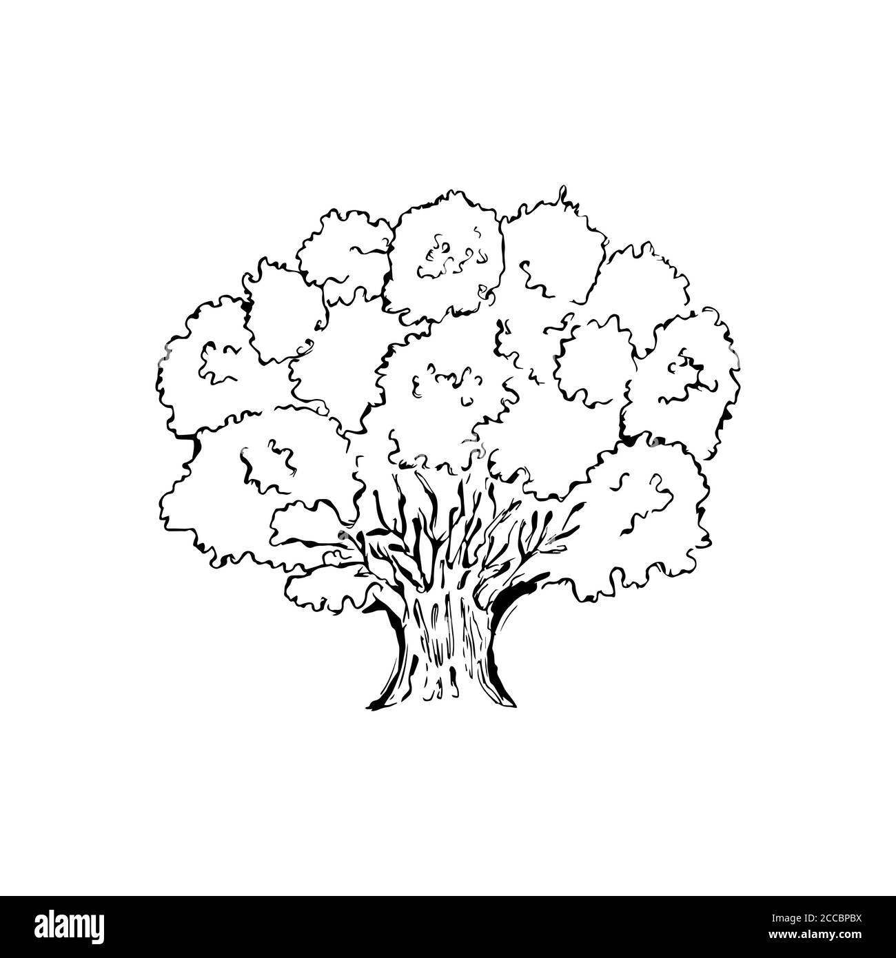 Tree rebirth Stock Vector Images - Alamy