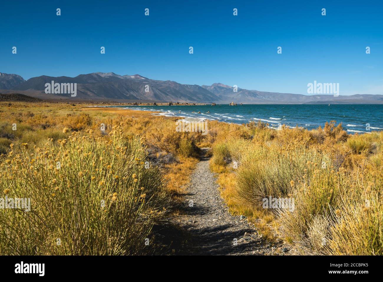Spectacular View Mono Lake and Mountains. Unique Place, Mono Lake Tufa ...