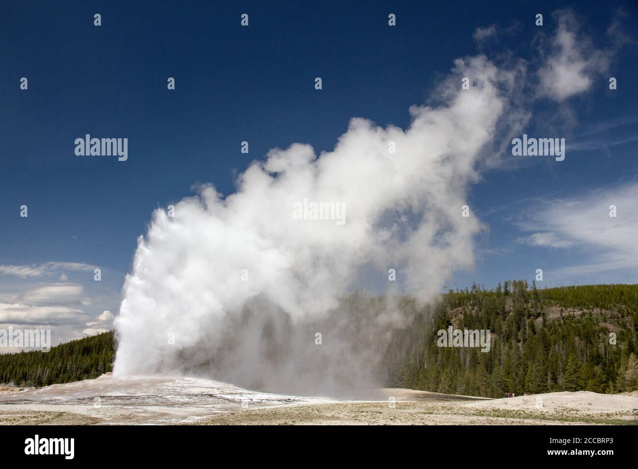 Old Faithful Geyser; Yellowstone National Park Stock Photo - Alamy
