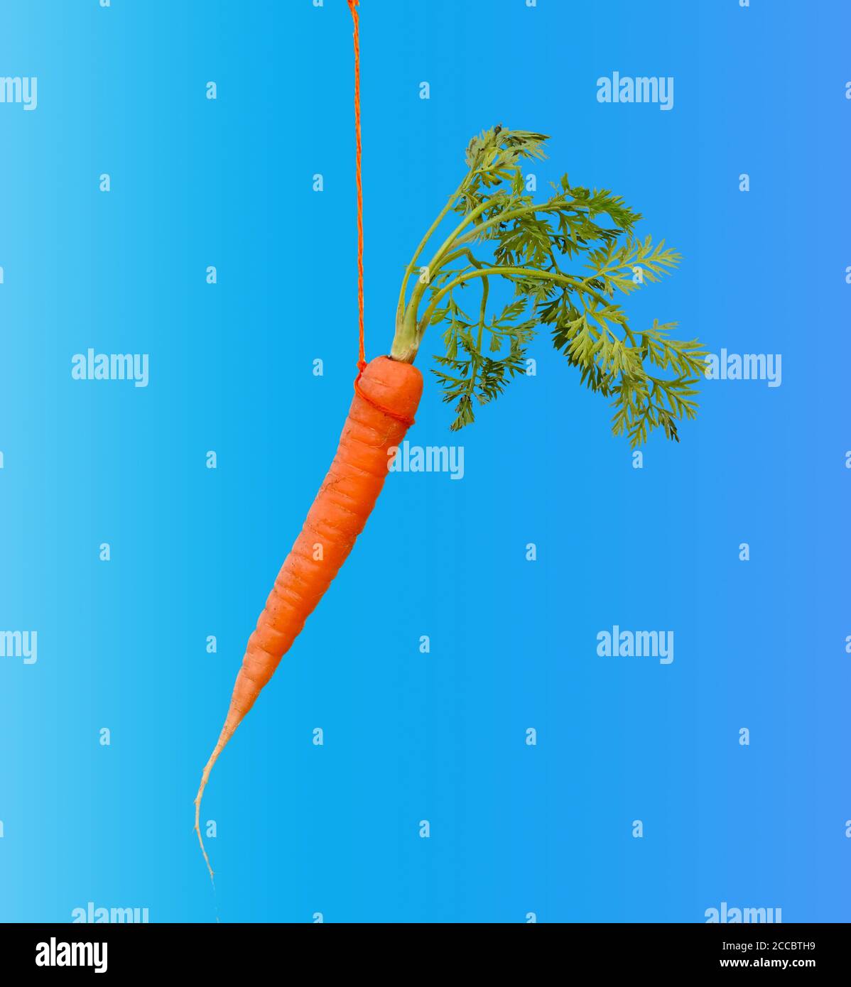 Discipline Background High Resolution Stock Photography and Images - Alamy