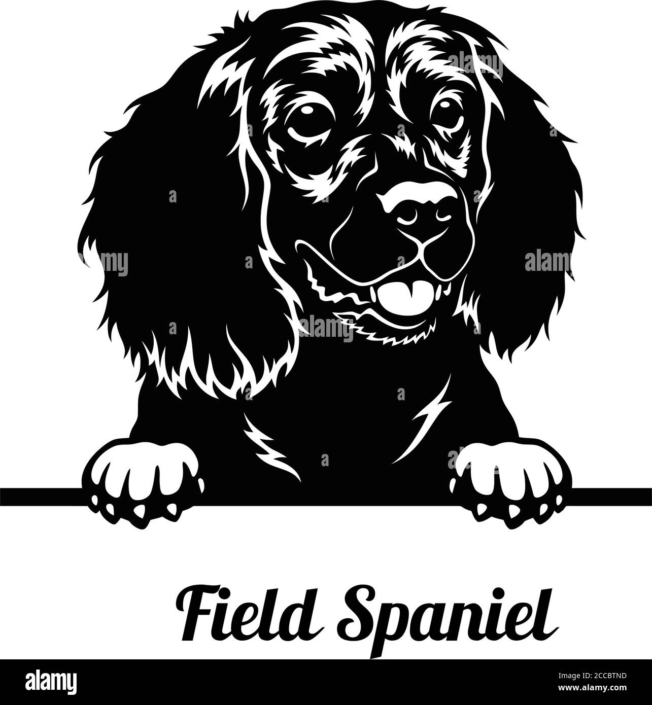 Spaniel dog head Stock Vector Images - Alamy