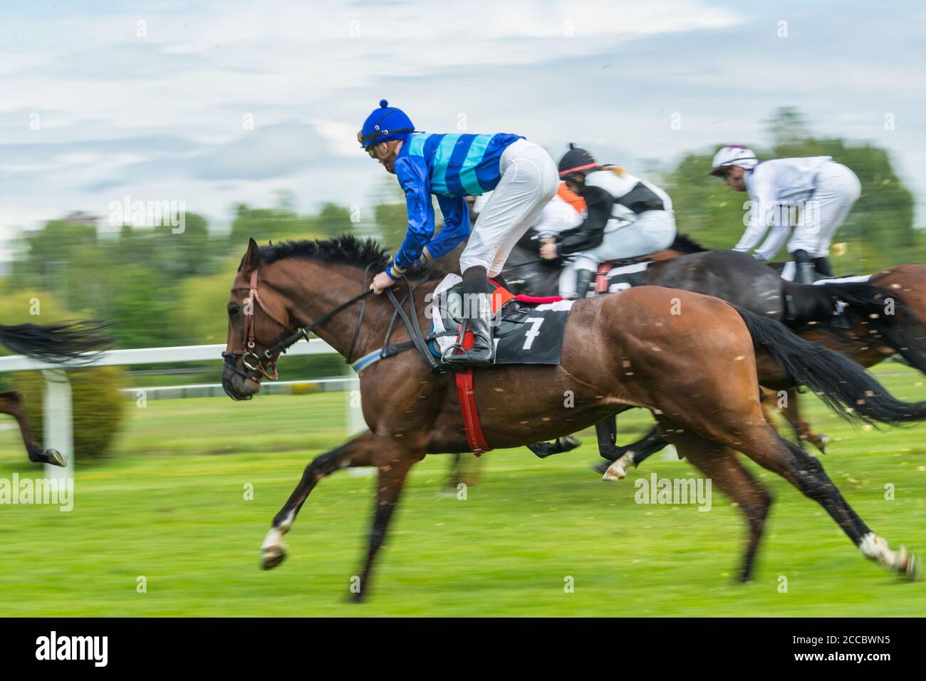 Horse racing outdoor derby with jockeys heading to finish line. Outdoor ...
