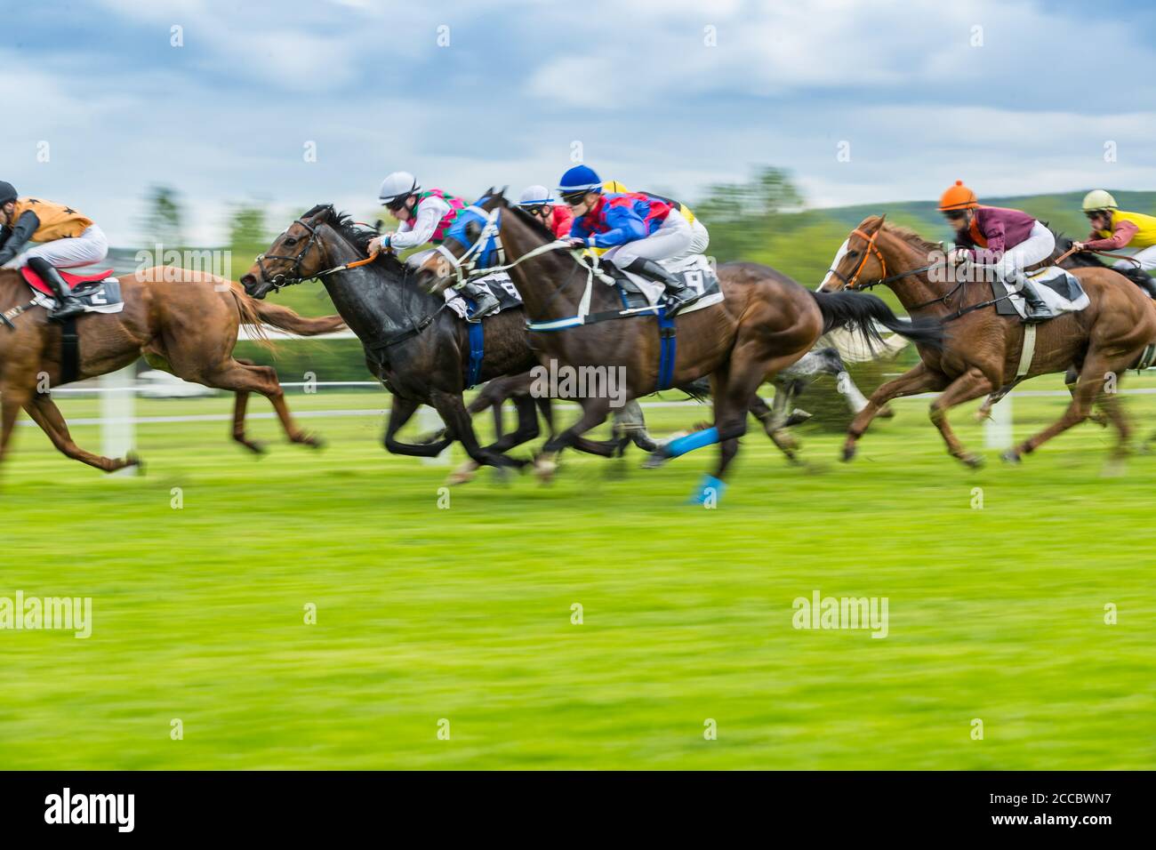 Horse racing outdoor derby with jockeys heading to finish line. Outdoor ...