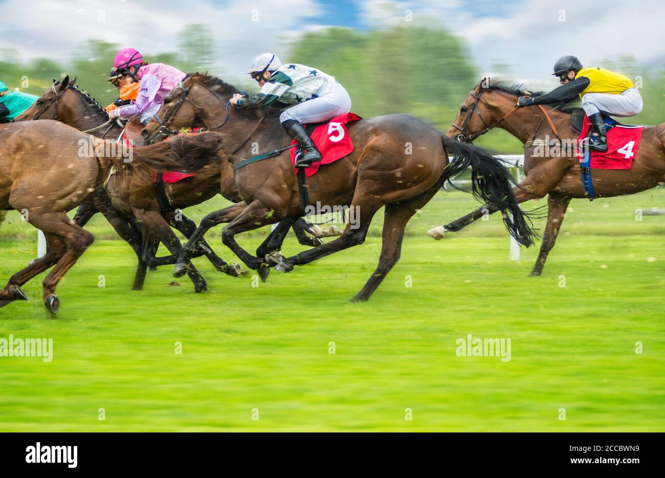 Horse racing outdoor derby with jockeys heading to finish line. Outdoor ...