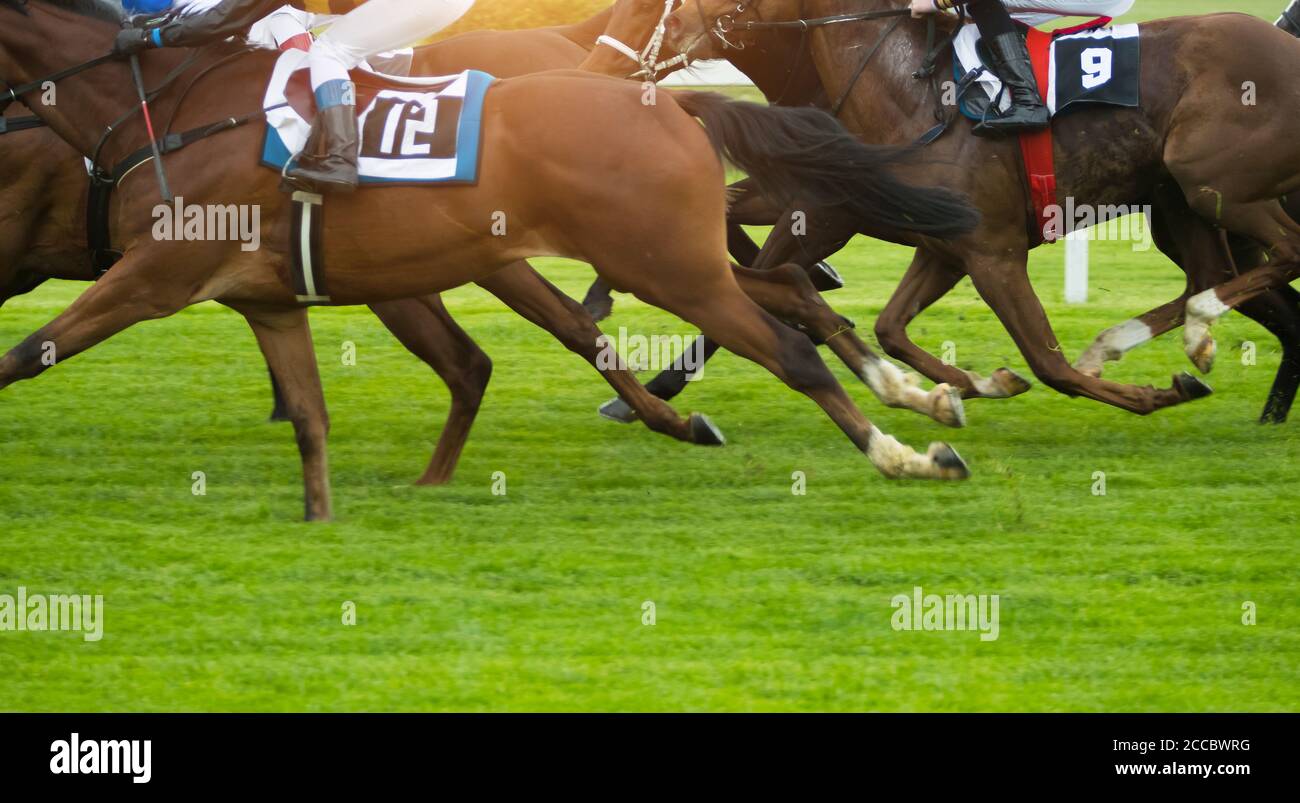 Horse racing outdoor derby with jockeys heading to finish line. Outdoor ...