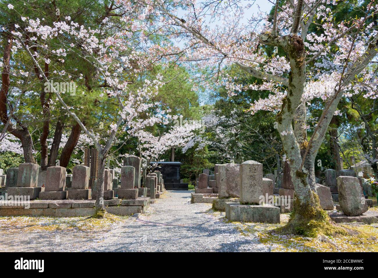 Kyoto, Japan - Aizu cemetery at Konkaikomyo-ji Temple in Kyoto, Japan ...