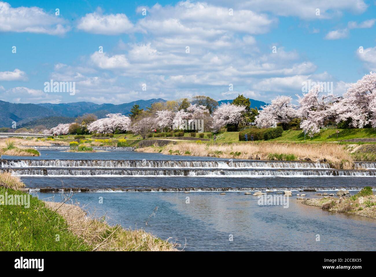 Japanese riverbanks hi-res stock photography and images - Alamy