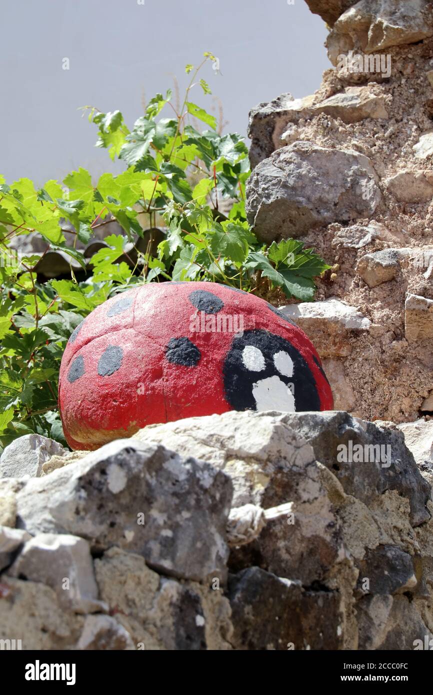 Ladybug with rocks hi-res stock photography and images - Alamy