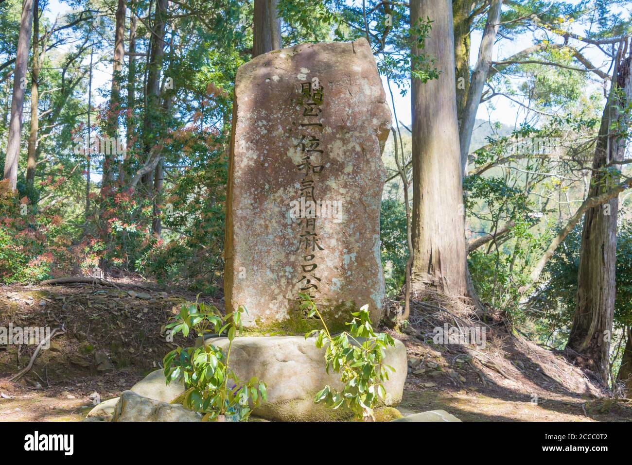 Jingoji temple hi-res stock photography and images - Alamy