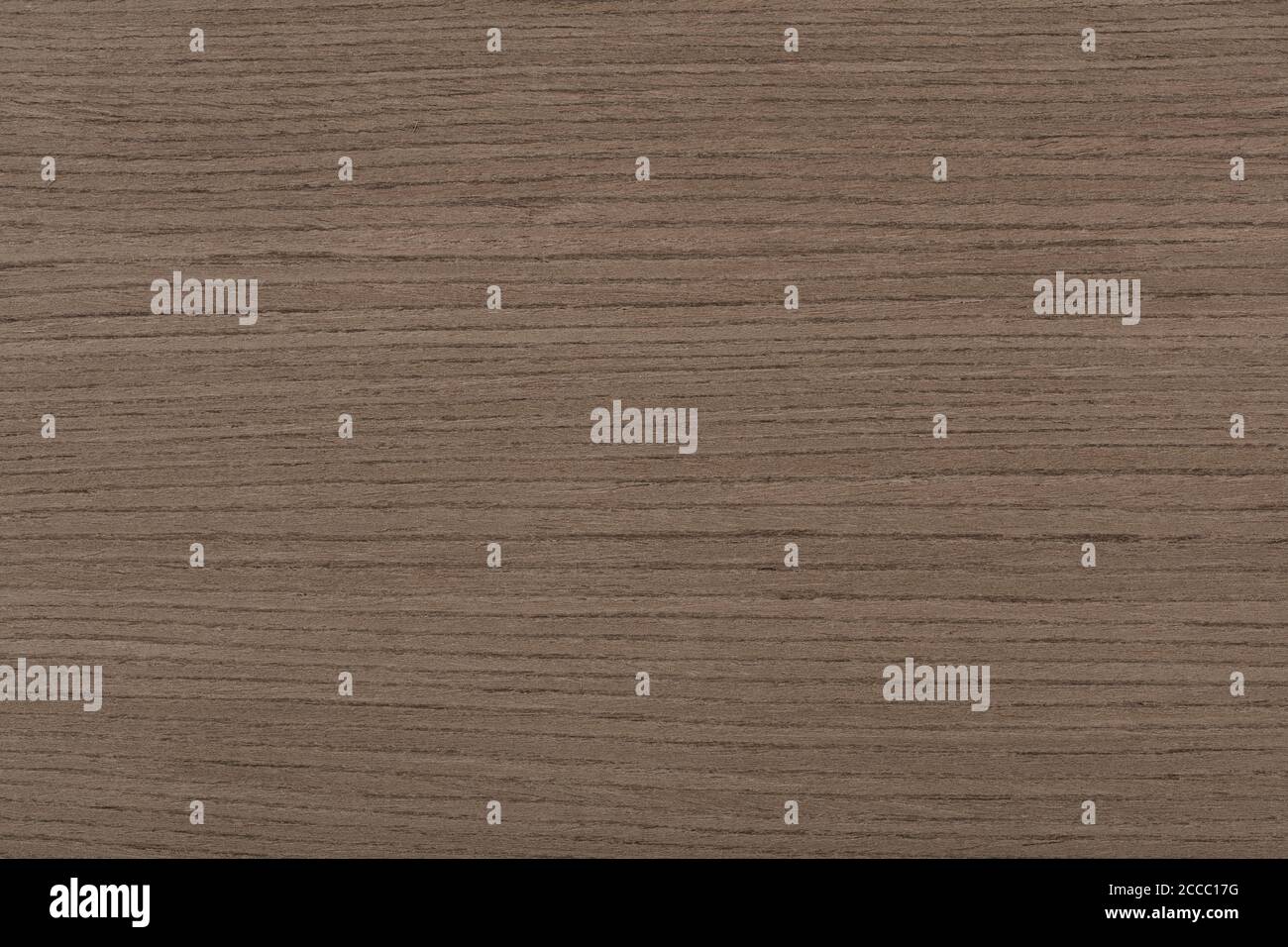 Exquisite natural grey oak veneer background as part of your design ...
