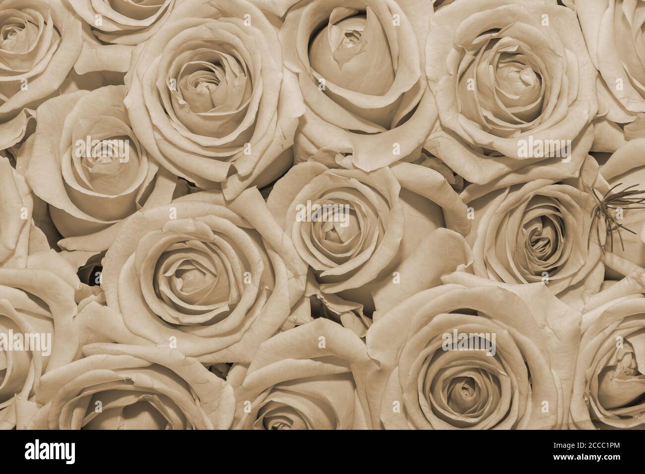 Sepia effect hi-res stock photography and images - Alamy