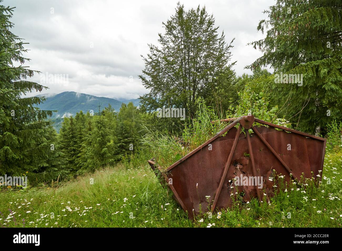 garbage bin out in the nature covered by plants Stock Photo - Alamy