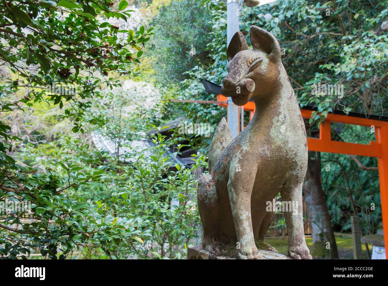 Japanese Fox Statue High Resolution Stock Photography and Images - Alamy