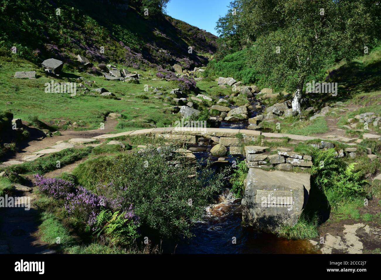 Heather at the Bronte Bridge, Haworth Moor, Bronte country, West ...