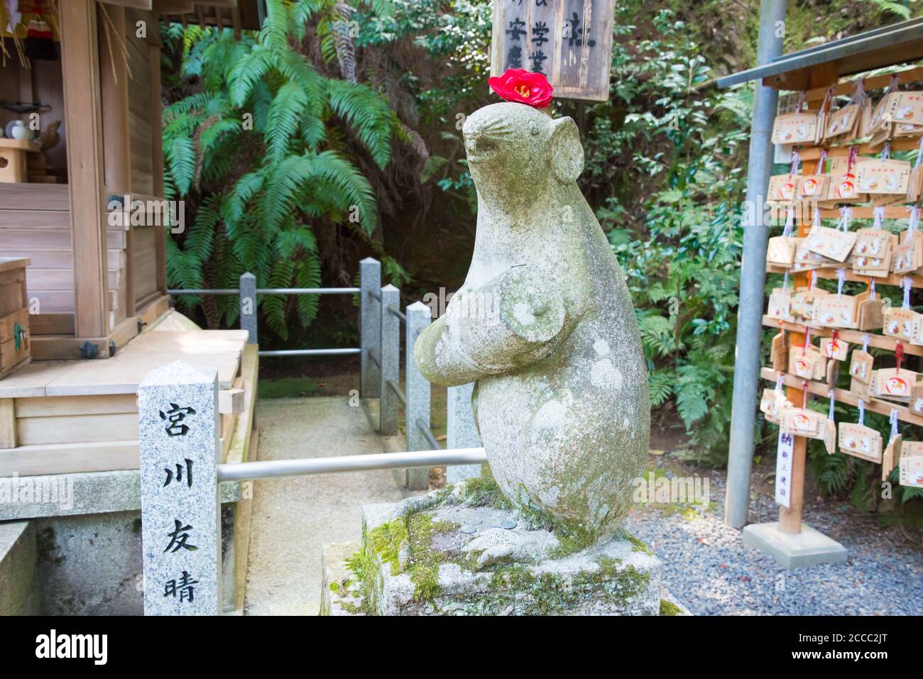 Spot the mouse hi-res stock photography and images - Alamy