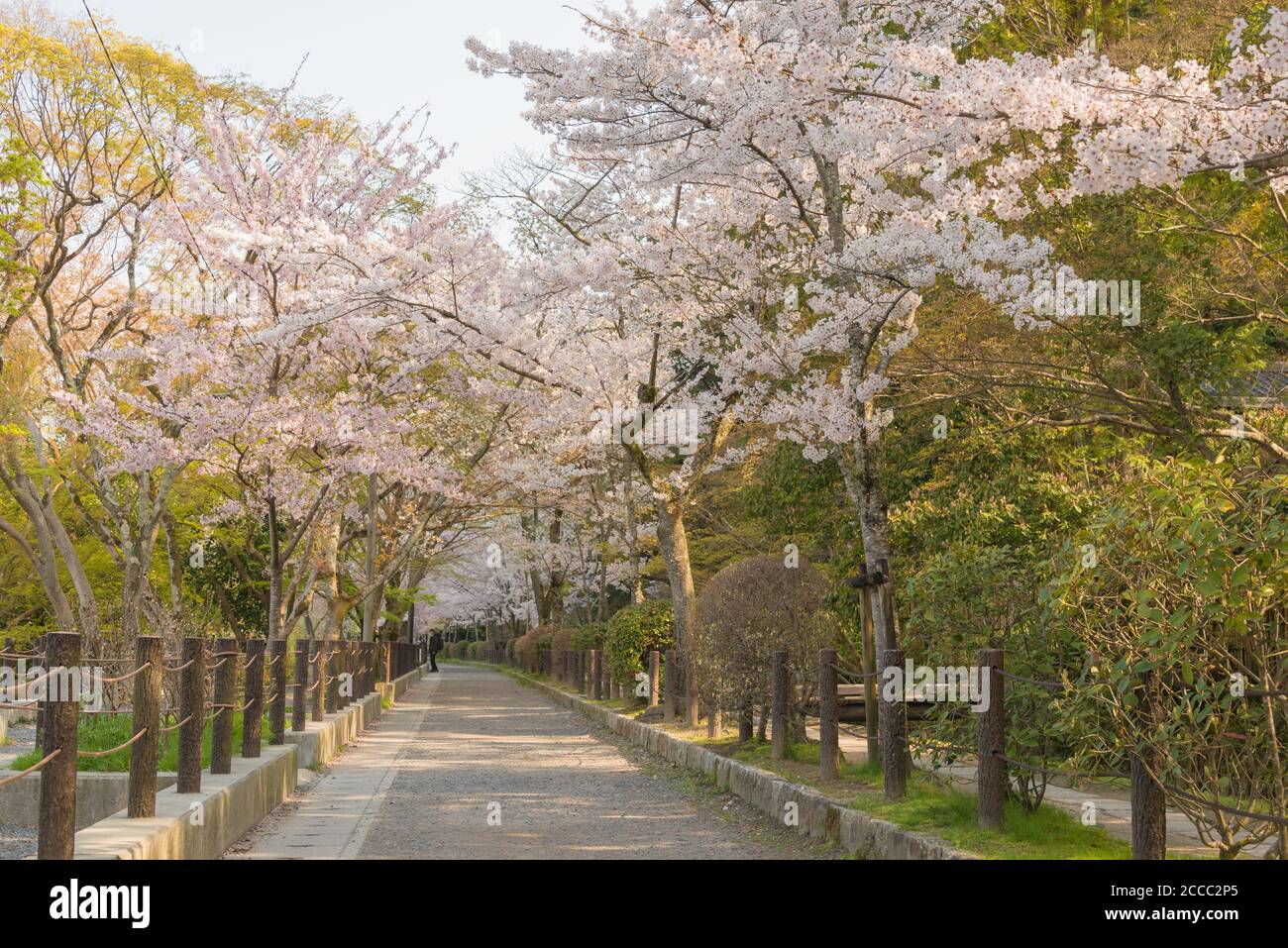 Kyoto, Japan - Philosopher's Walk (Tetsugaku-no-michi) in Kyoto, Japan ...