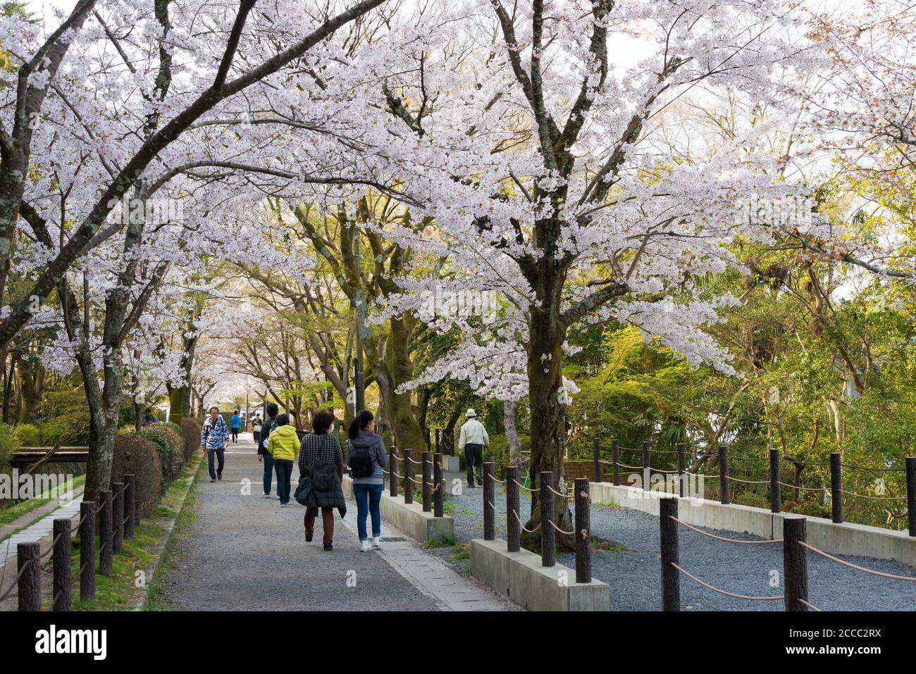 Kyoto, Japan - Philosopher's Walk (Tetsugaku-no-michi) in Kyoto, Japan ...
