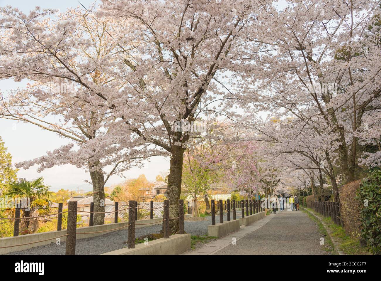 Kyoto, Japan - Philosopher's Walk (Tetsugaku-no-michi) in Kyoto, Japan ...