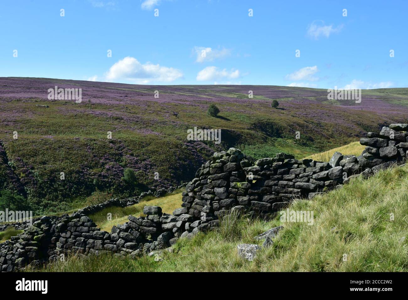 Country haworth hi-res stock photography and images - Alamy