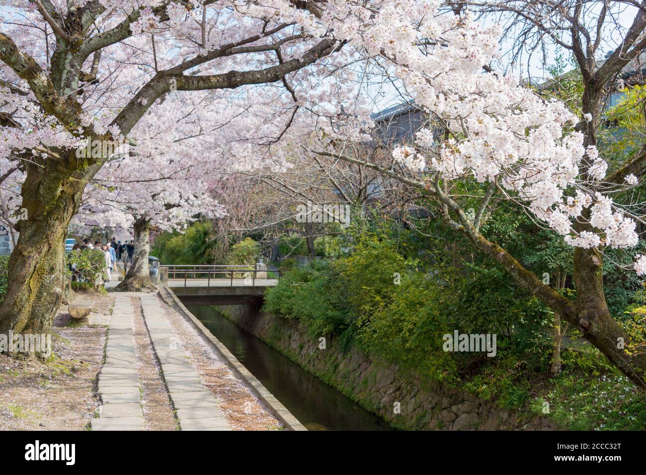 Kyoto, Japan - Philosopher's Walk (Tetsugaku-no-michi) in Kyoto, Japan ...