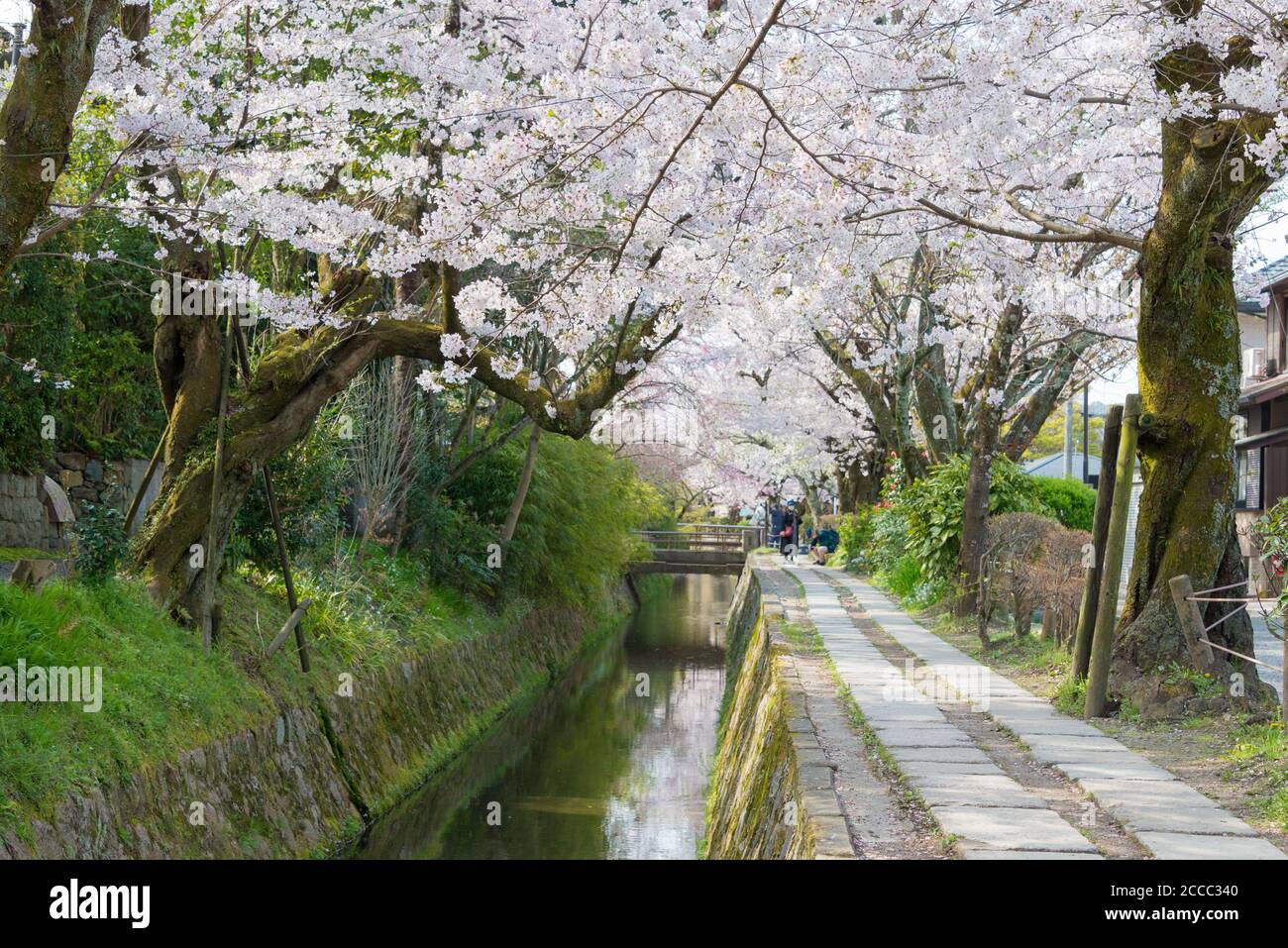 Kyoto, Japan - Philosopher's Walk (Tetsugaku-no-michi) in Kyoto, Japan ...