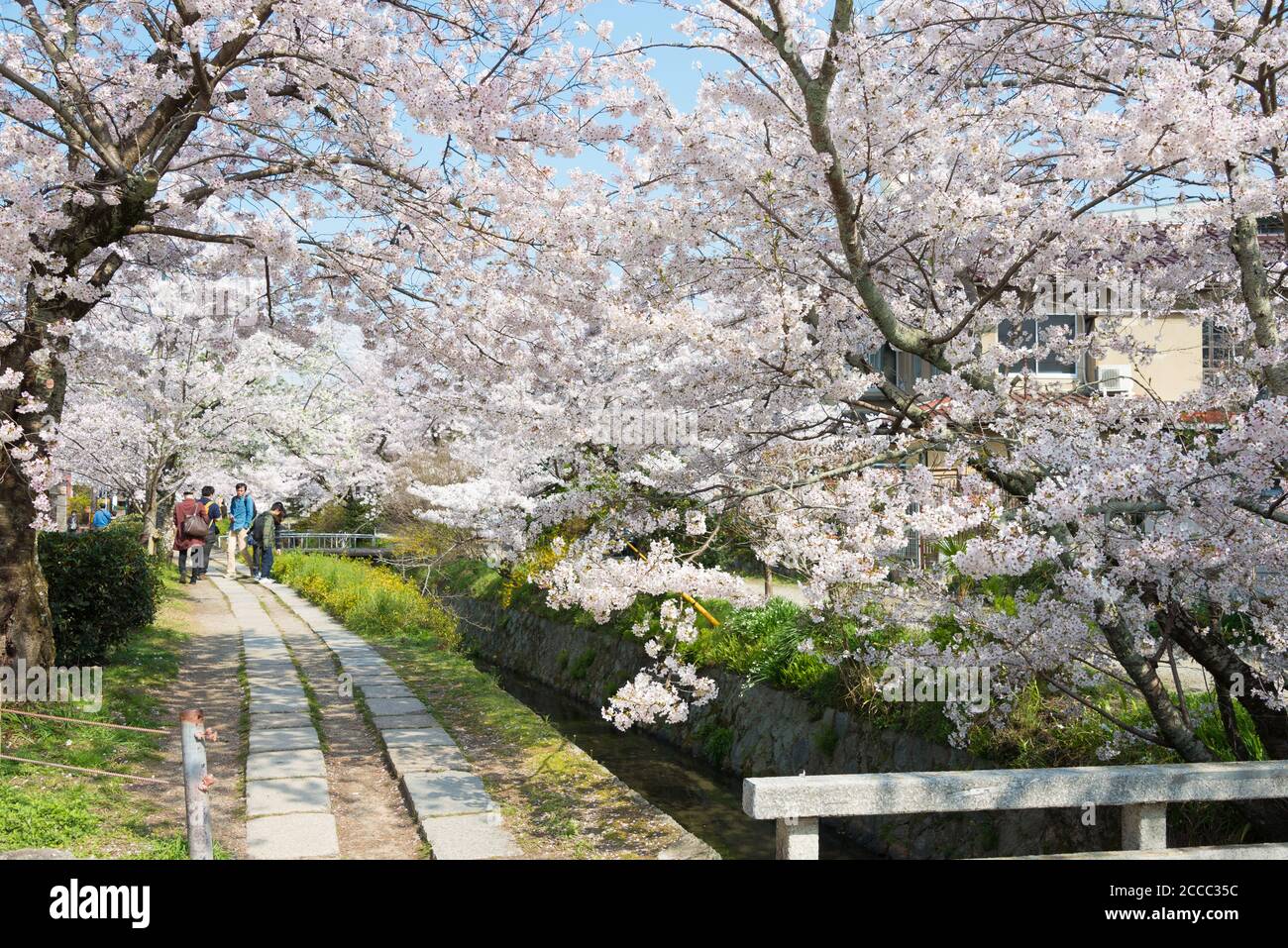 Kyoto, Japan - Philosopher's Walk (Tetsugaku-no-michi) in Kyoto, Japan ...