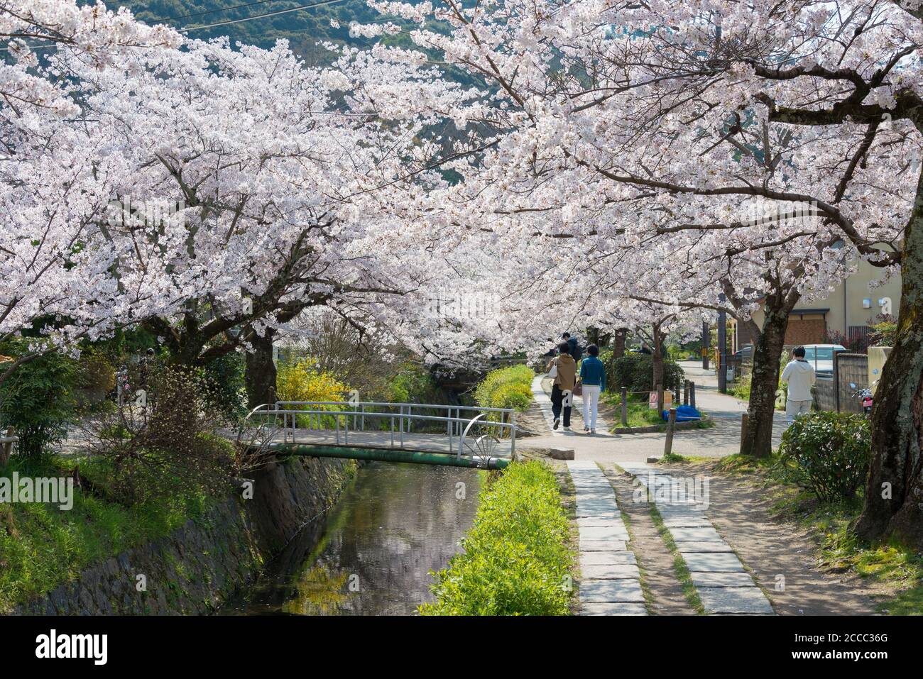 Kyoto, Japan - Philosopher's Walk (Tetsugaku-no-michi) in Kyoto, Japan ...