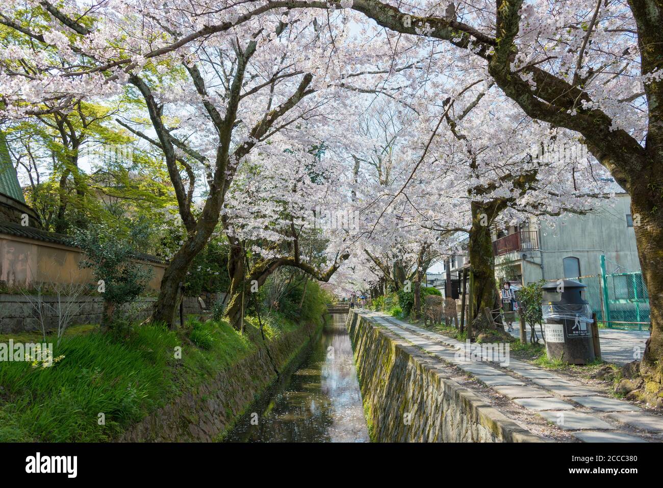 Kyoto, Japan - Philosopher's Walk (Tetsugaku-no-michi) in Kyoto, Japan ...