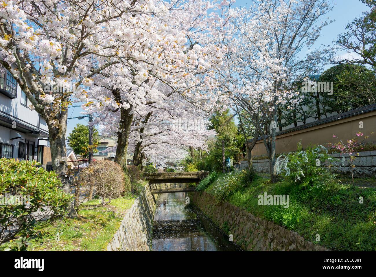 Kyoto, Japan - Philosopher's Walk (Tetsugaku-no-michi) in Kyoto, Japan ...