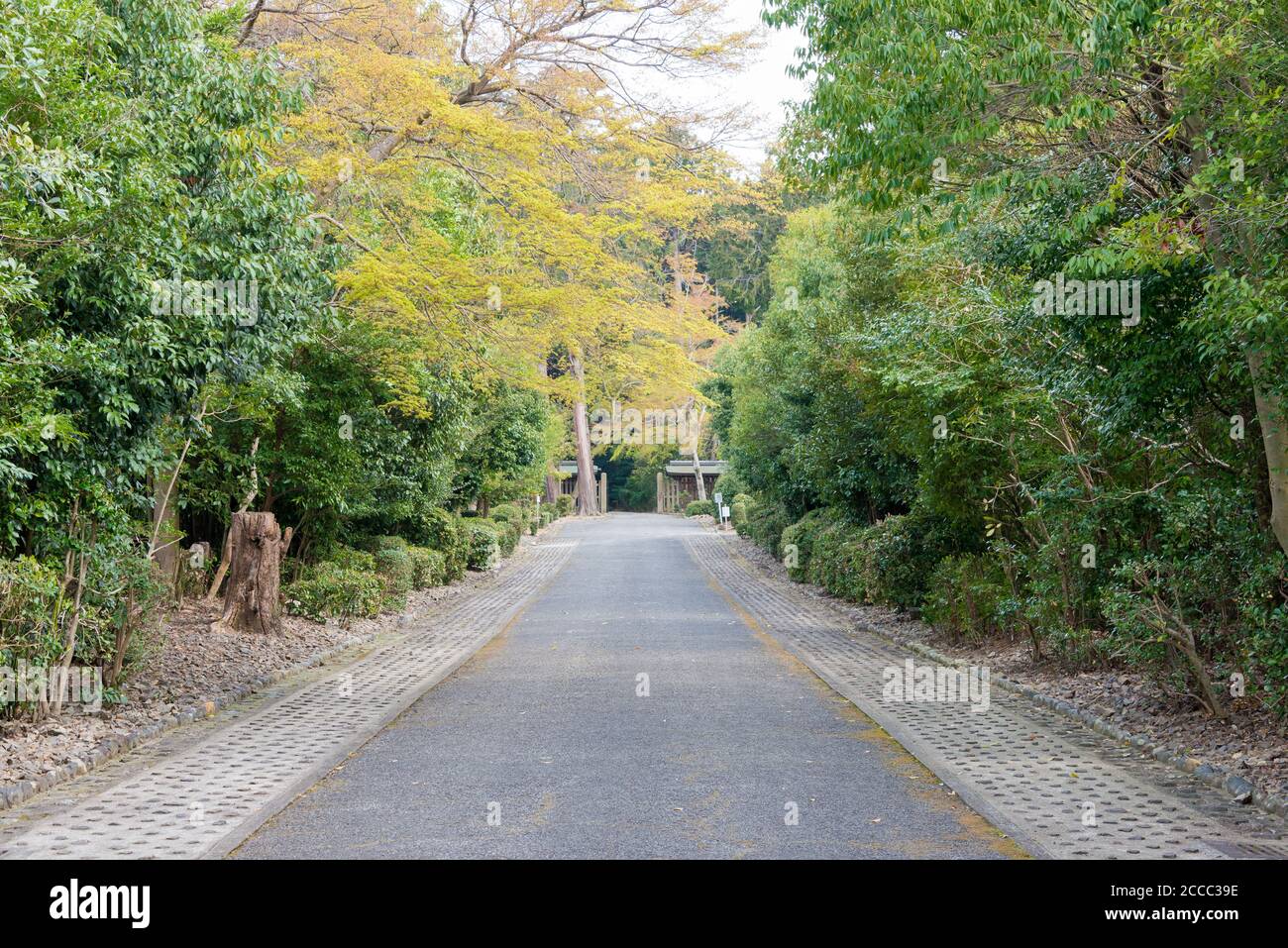 Kyoto, Japan - Approach to Mausoleum of Emperor Tenji in Yamashina ...