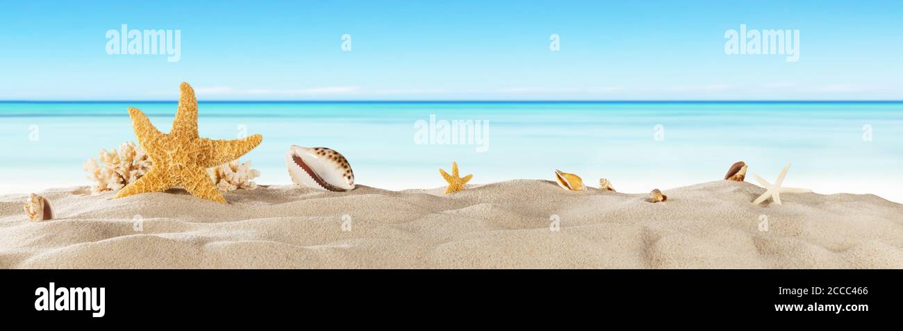Tropical beach with sea star on sand, summer holiday background. Travel ...