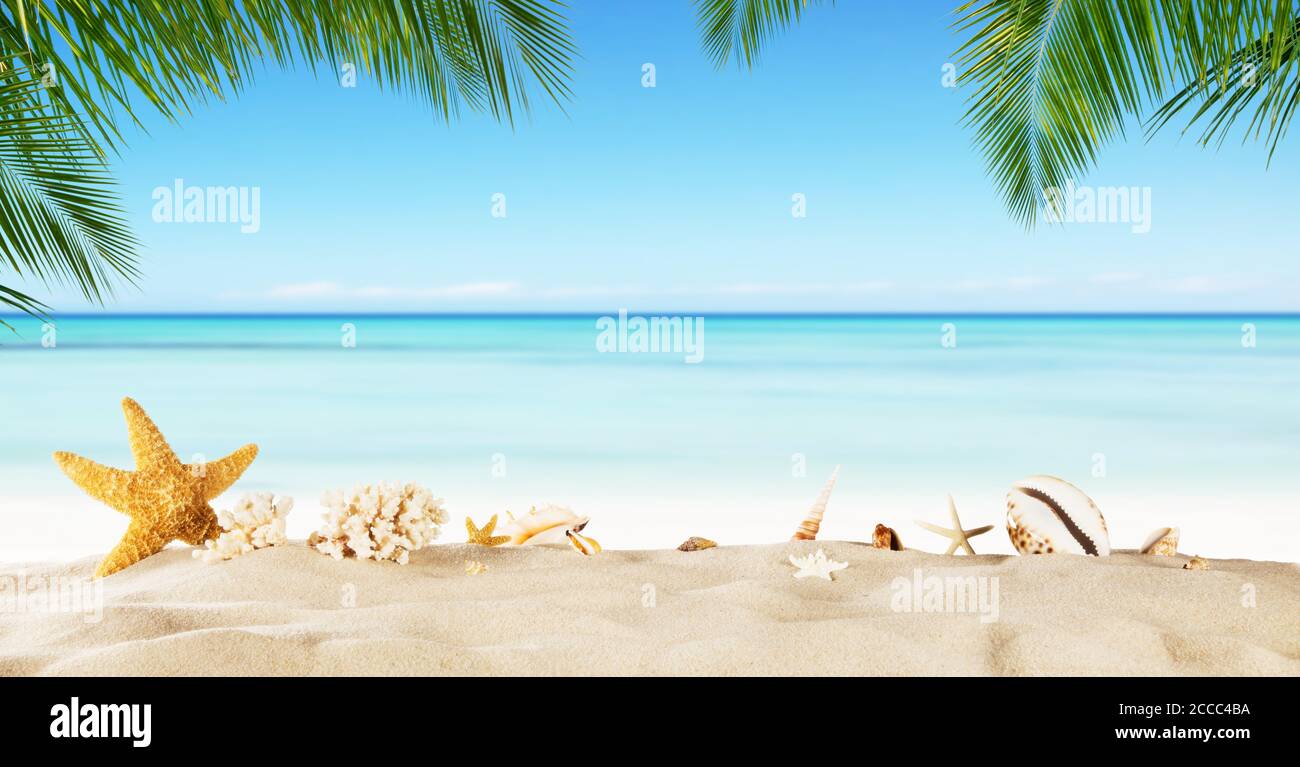 Tropical beach with sea star on sand, summer holiday background. Travel ...
