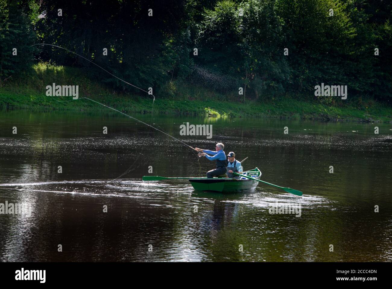 Fly fishing for salmon on the River Tweed near Birgham on the anglo ...