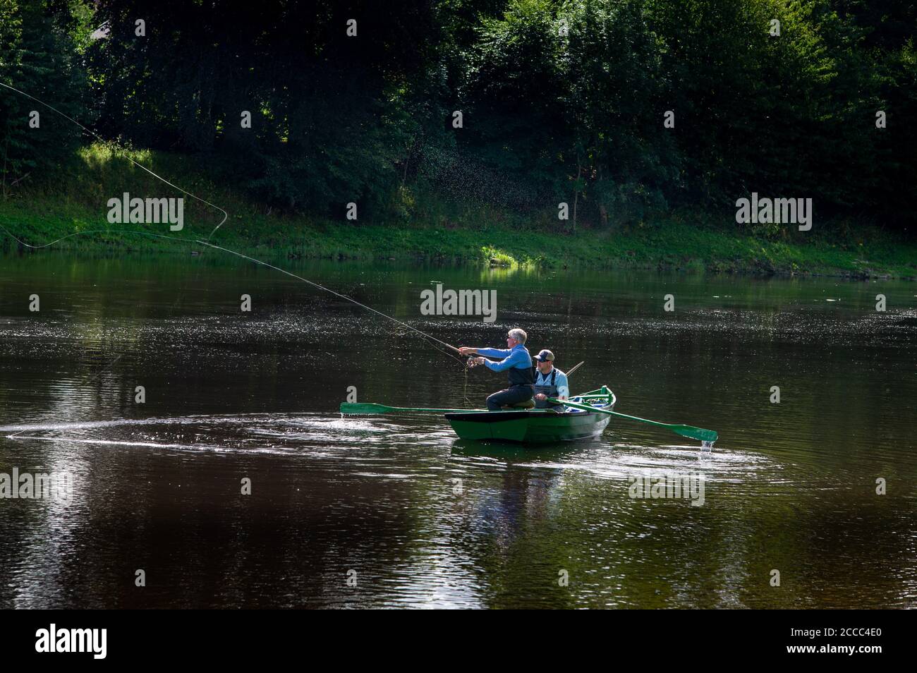 Fly fishing for salmon on the River Tweed near Birgham on the anglo ...
