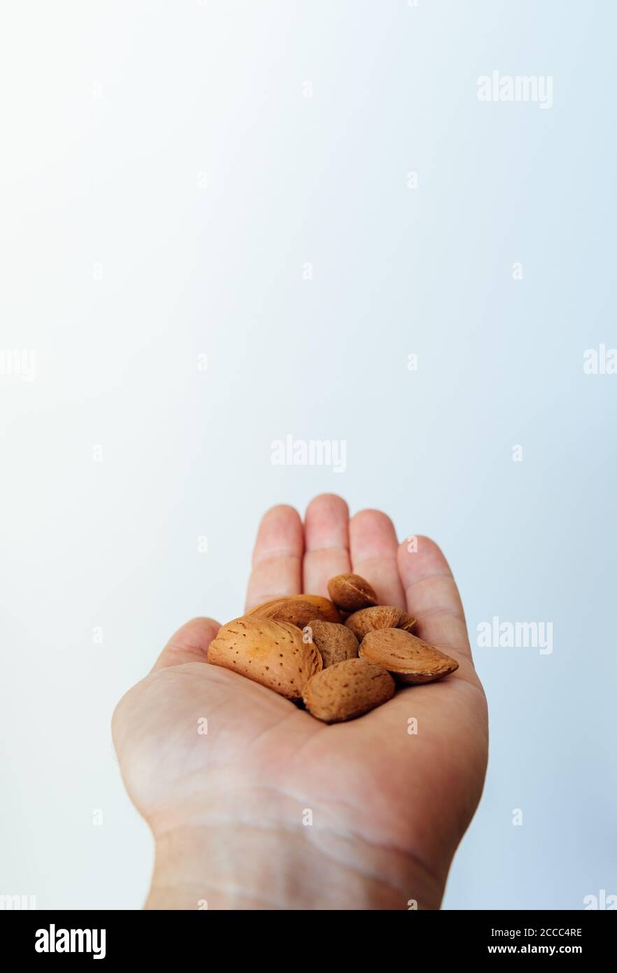 Open man's hand palm holding a handful of almonds in shell isolated on ...