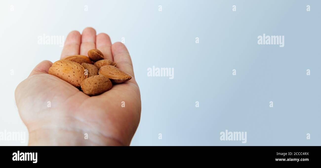 Open man's hand palm holding a handful of almonds in shell isolated on ...