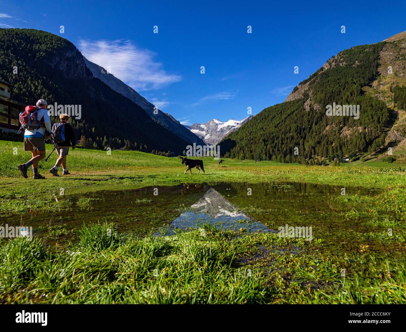 View of the valley of Cogne in the Gran Paradiso National Park Stock ...