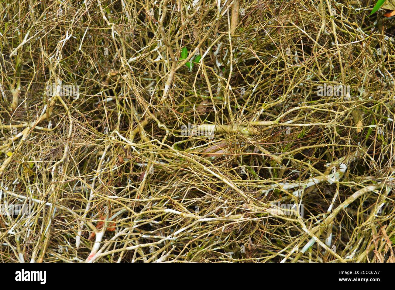 Human encroachment hi-res stock photography and images - Alamy