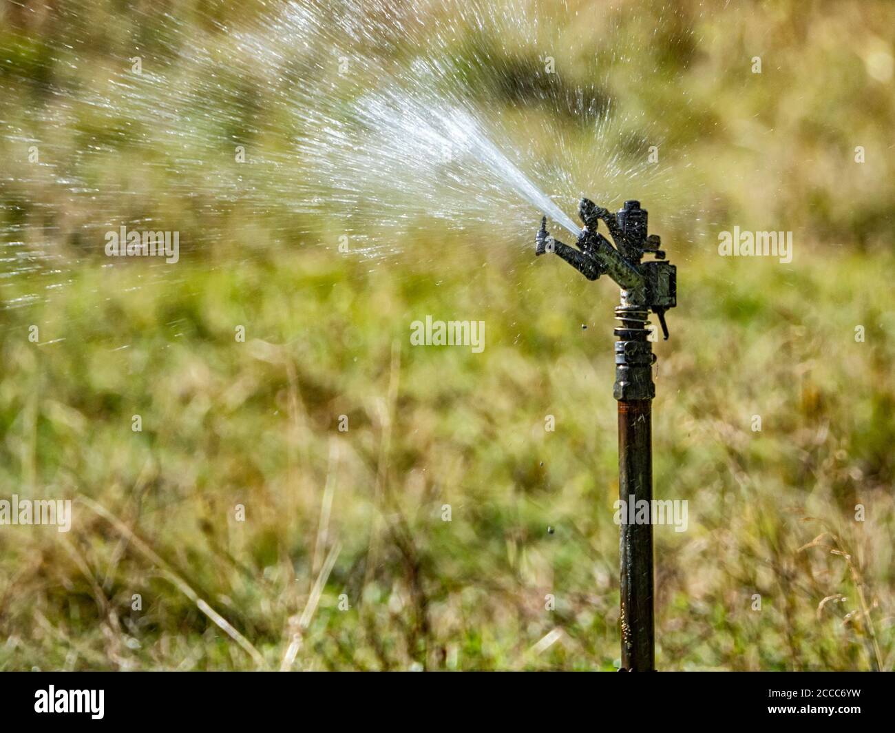 Close-up of a water sprinkle Stock Photo - Alamy