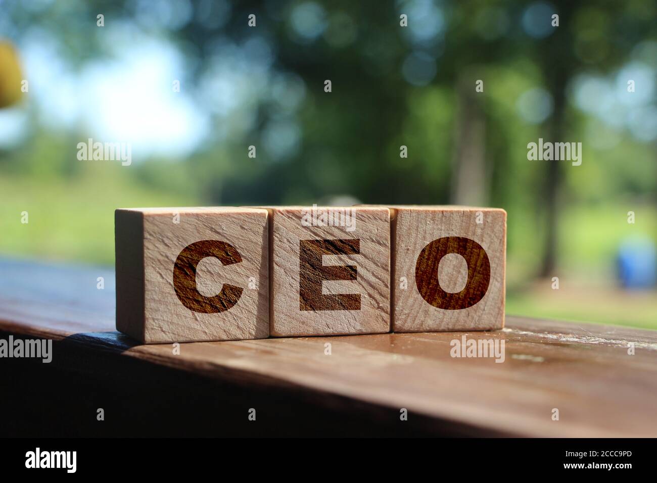 Chief Administrative Officer High Resolution Stock Photography and ...