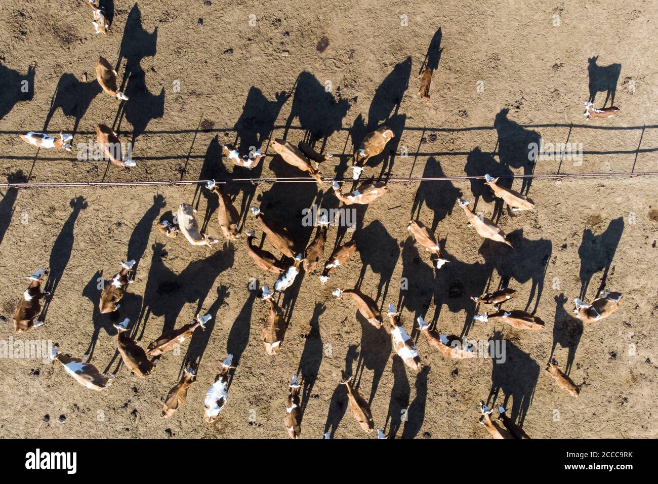 Dongxing village hi-res stock photography and images - Alamy