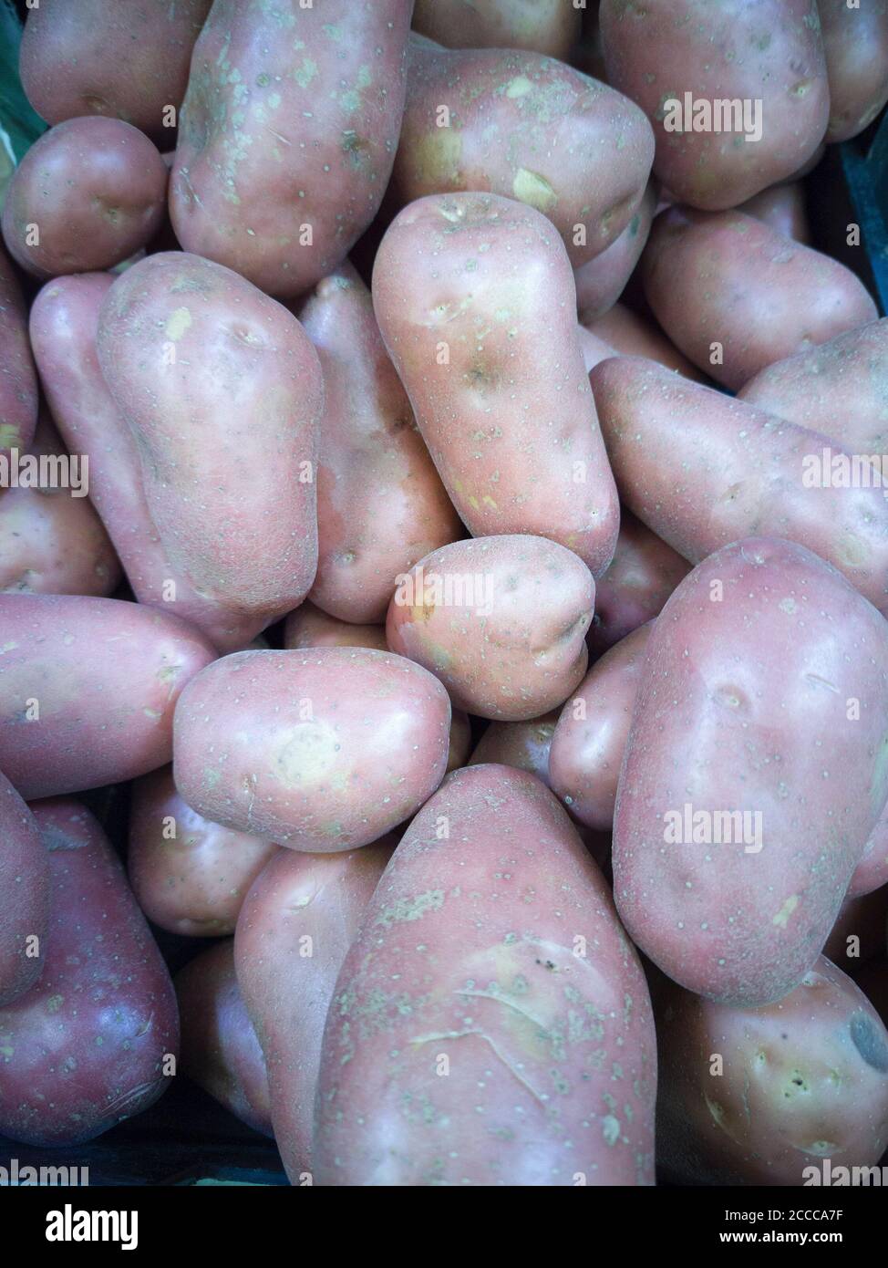 farm shop selling potatoes Stock Photo - Alamy
