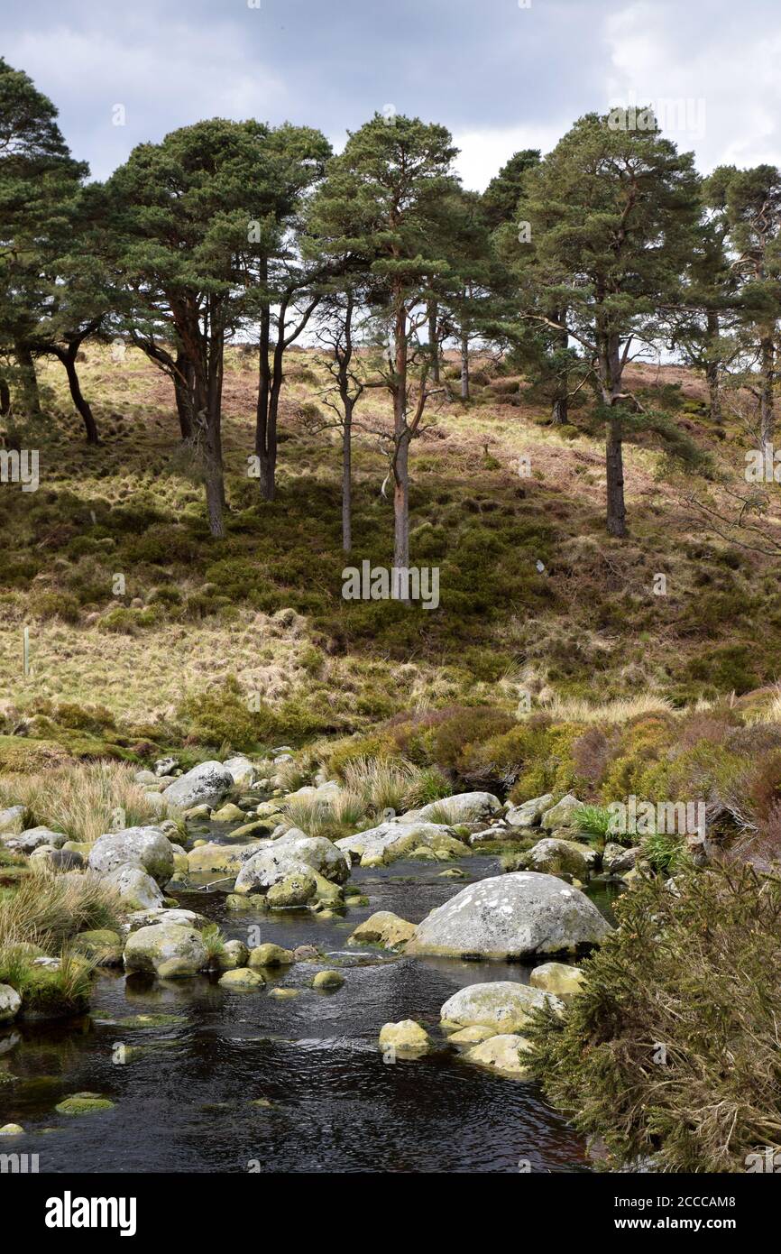 Stream backgrounds hi-res stock photography and images - Alamy