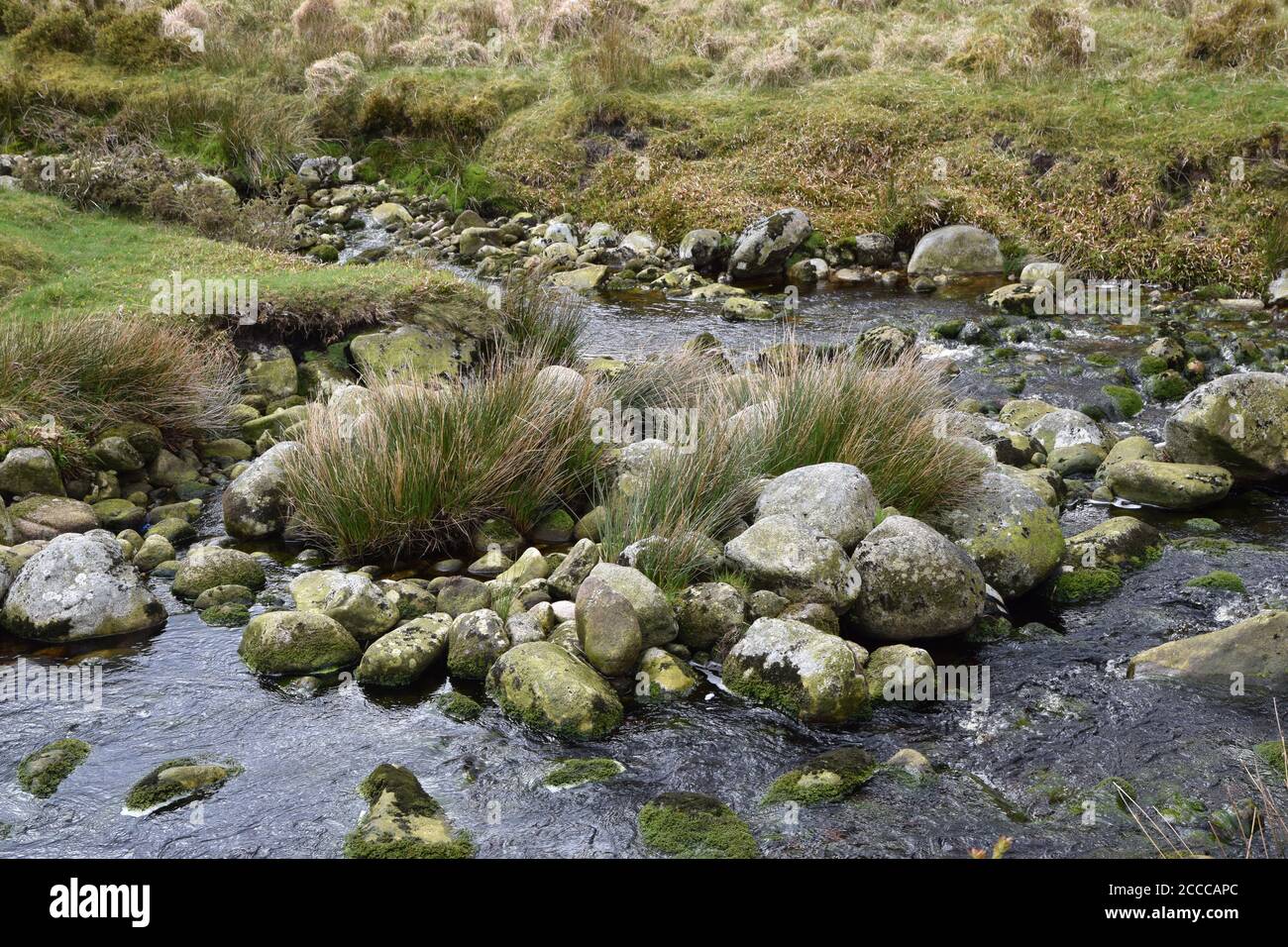 Stream backgrounds hi-res stock photography and images - Alamy