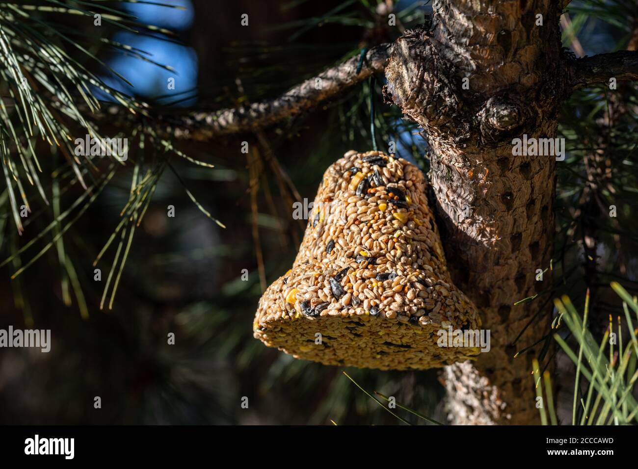 Bell from various grains, a delicacy for all the birds in the garden ...