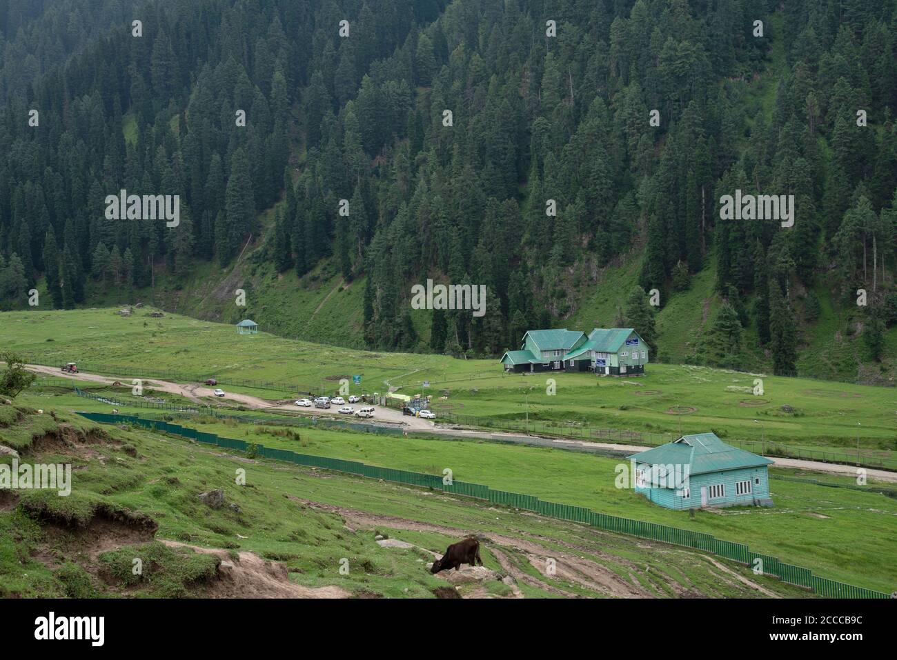 Beautiful landscape aru valley pahalgam hi-res stock photography and ...