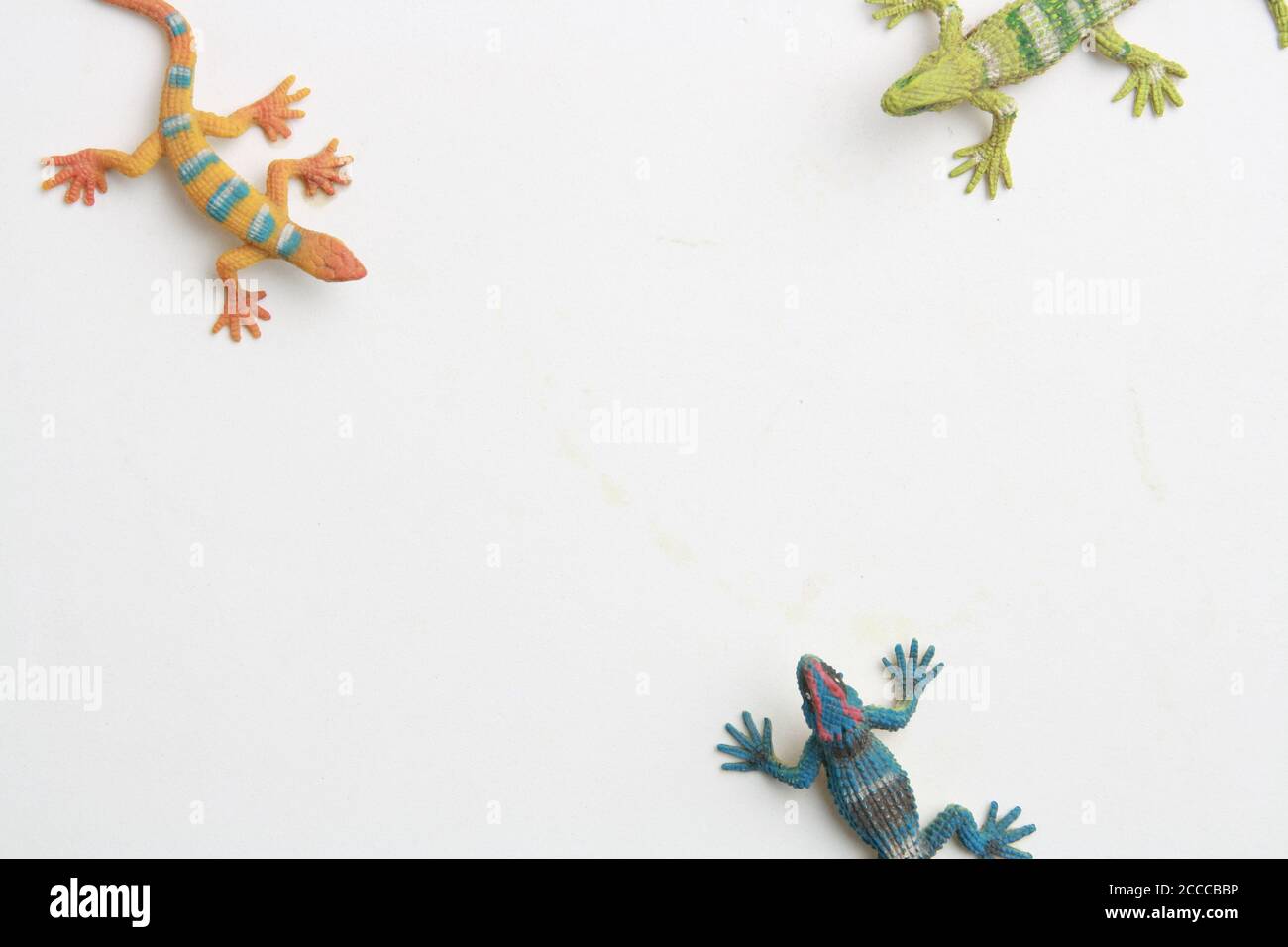 Top view of colorful small lizard-shaped toys on a white surface Stock ...