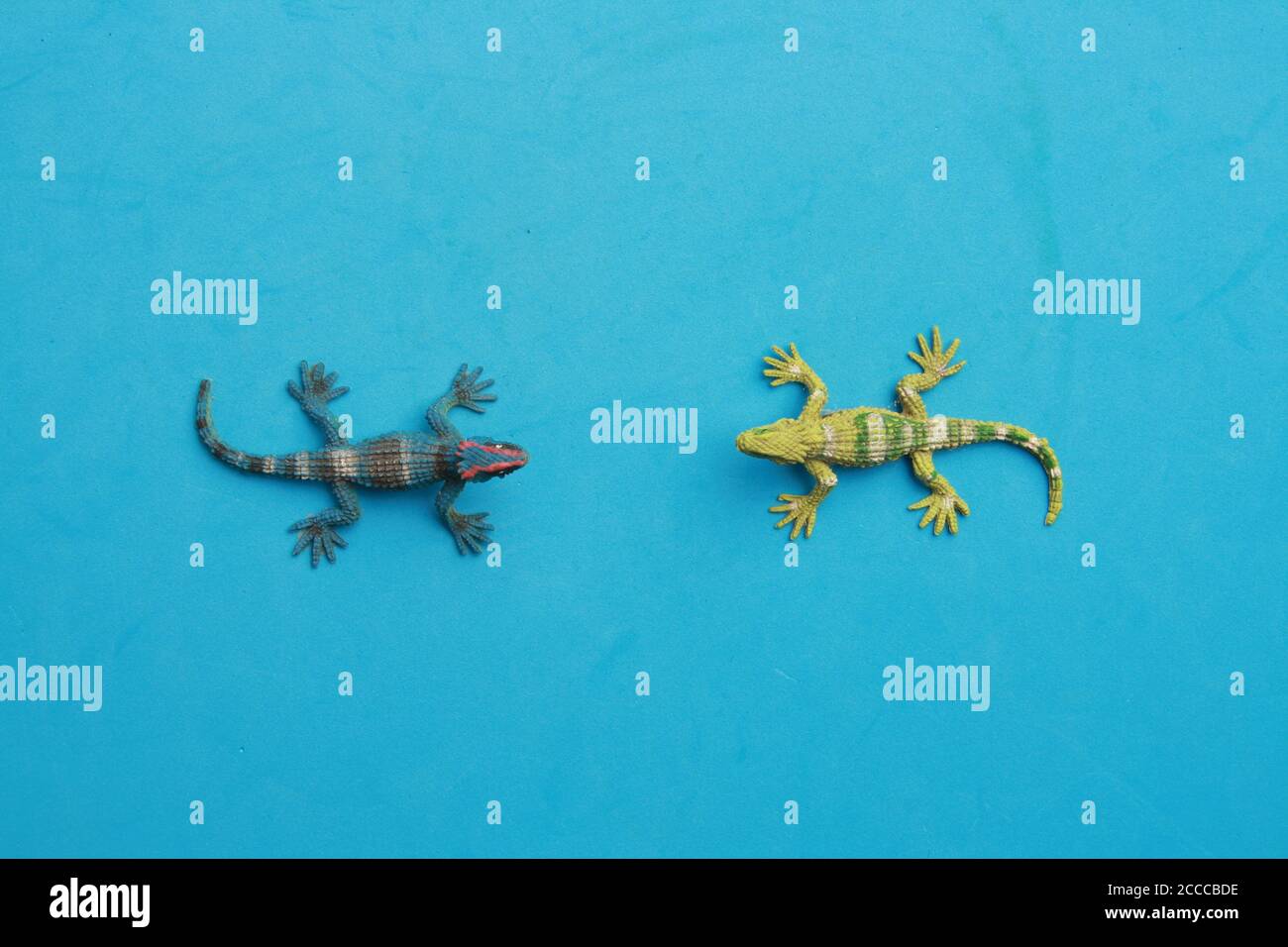 Top view of colorful small lizard-shaped toys on a blue surface Stock ...