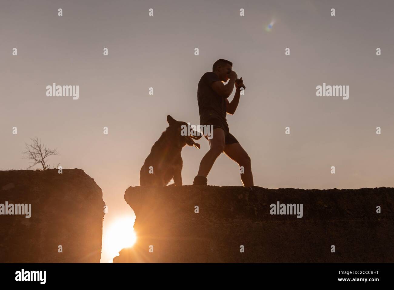 Shot of a male training with the dog outside Stock Photo - Alamy