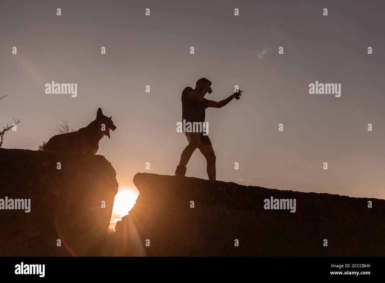 Shot of a male training with the dog outside Stock Photo - Alamy